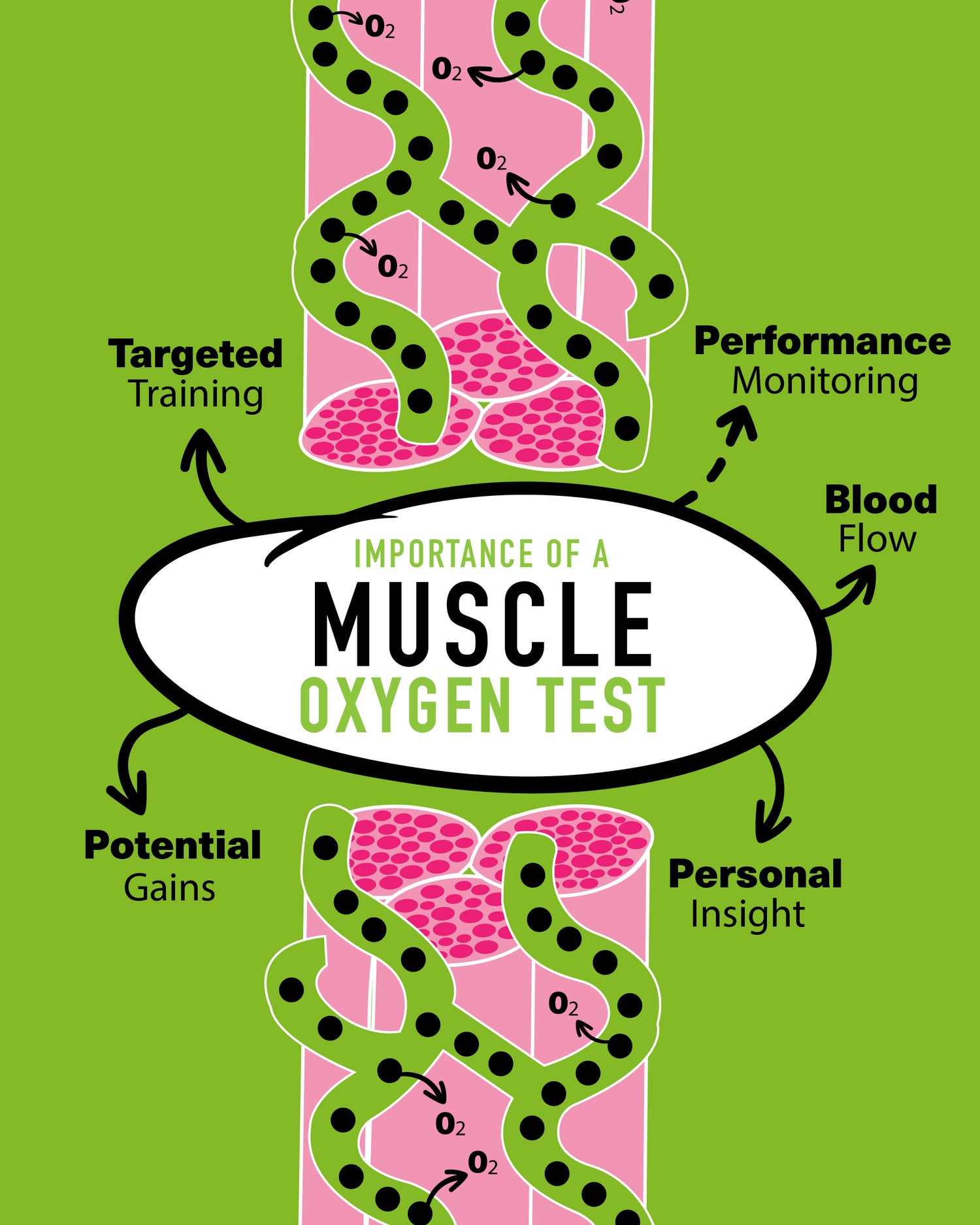 Fitness Testing – Mapdec Cycle Works